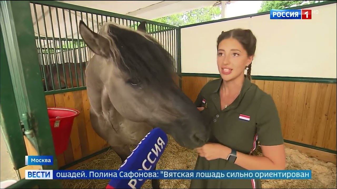 Вести-Москва / В Москве проходит Фестиваль национальных пород лошадей