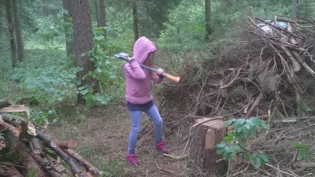 сбор веток в лесу