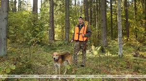 Загонная охота на лося и оленя.