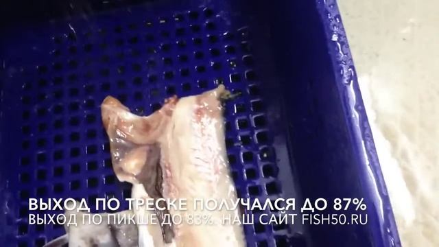 CHSF 1 филетировка рыбы пикша