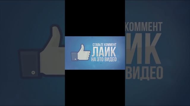 Кот знает что делать )))