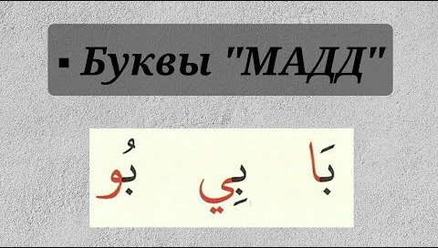 6/18. БУКВЫ МАДД В КОРАНЕ | ПРАВИЛА ЧТЕНИЯ КОРАНА | #ТАДЖВИД