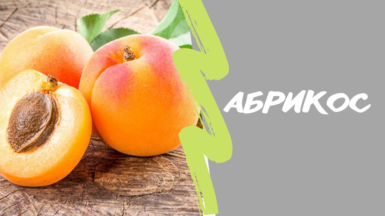 Весенняя обрезка абрикоса? в Подмосковье. Сорта: Триумф северный, Алёша, Краснощёкий.