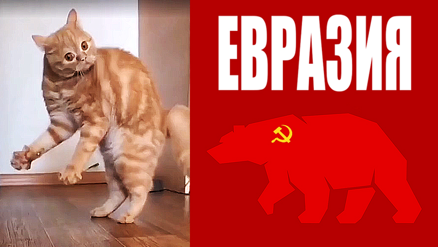 КОТИК ОТЖИГАЕТ. 
#коты #котыприколы #втопе #новинкиблогеров #питомцы #природа #киса #котяра #звери