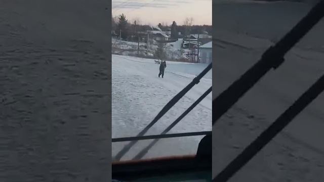 Кто-то не успел доставить ёлку к нужному сроку #ПРИКОЛЫ #УГАР #ЮМОР