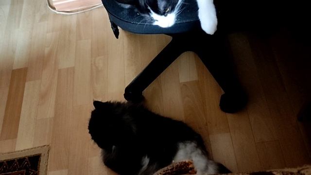 Мы спим. Я и Даша