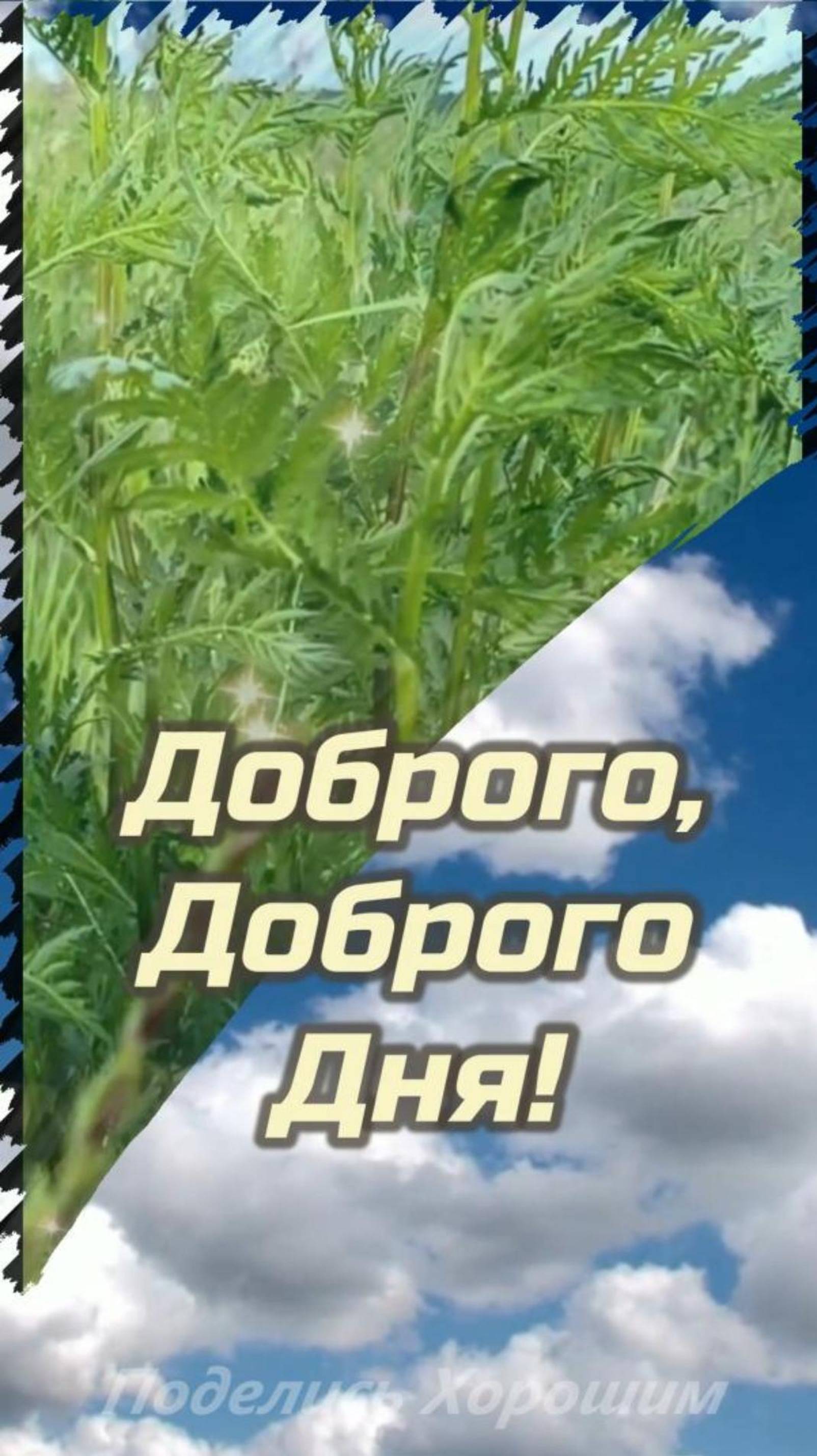 Доброго, Доброго Дня!