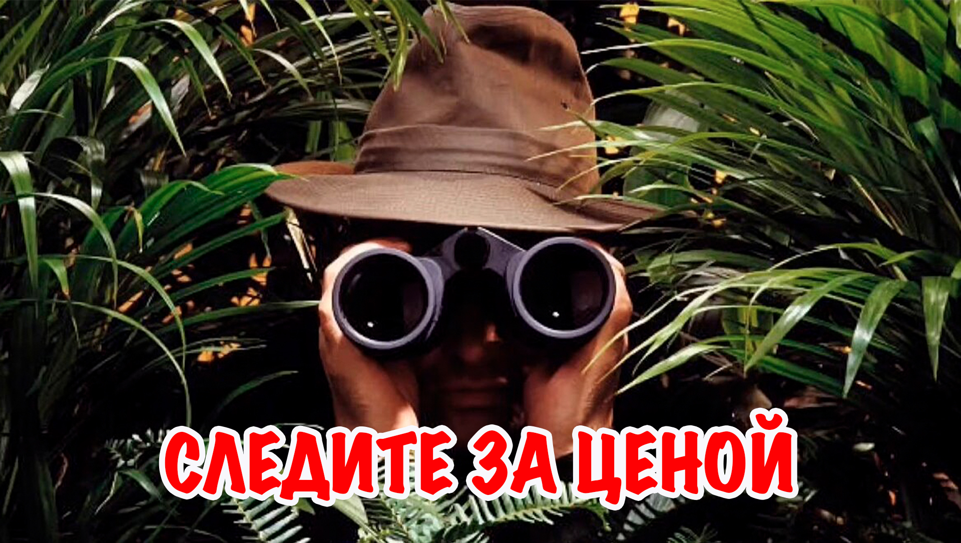 Подпишитесь на опцию СЛЕДИТЬ ЗА ЦЕНОЙ, чтобы не пропустить выгодный тур