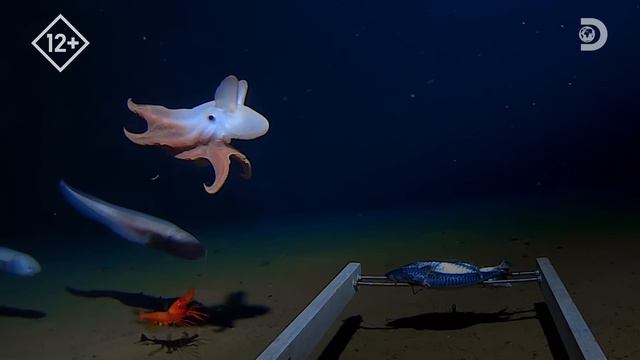 Индийский океан / зона цунами / На дне океана