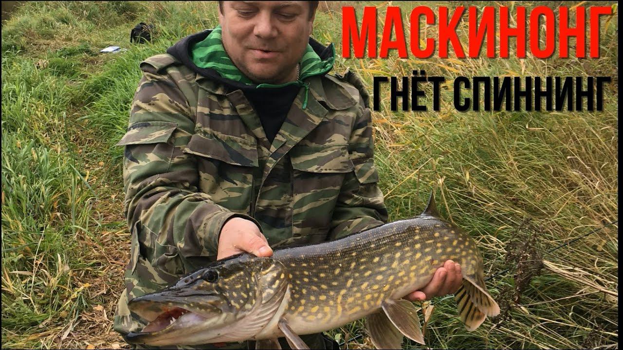 Трофейная ЩУКА на микроречке | Копия Mepps Syclops косит ЩУКУ | Рыбалка на спиннинг.