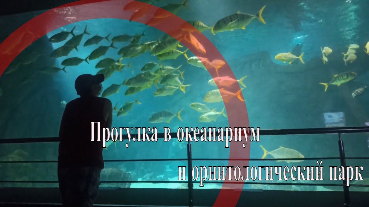 Бархатные сезоны. Прогулка в океанариум и орнитологический парк. Сочи (Адлер) 2021г.