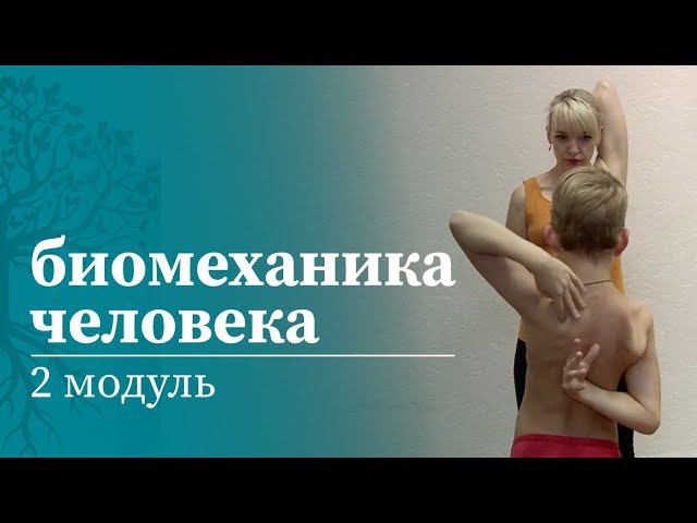 Биомеханика человека. Ступень 3. Отзывы | Биомеханика человека | МАМР
