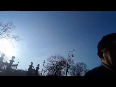 Госдеповские тролли учат методички и приходят сдавать экзамен на пикет НОД на Манежной, прямой эфир