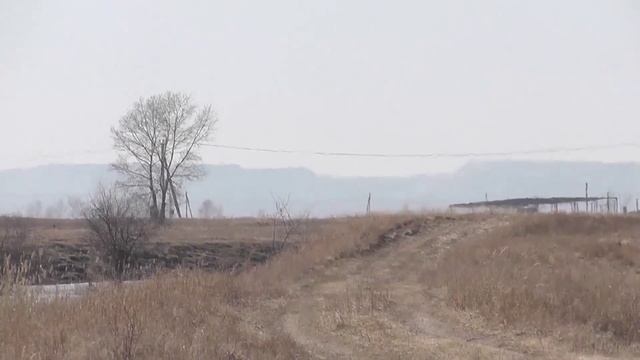 Прогулка на велосипеде в степь-4.mp4