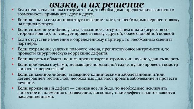 Беременность у собак (нормальная и патологическая) и других мелких животных (вебинар)