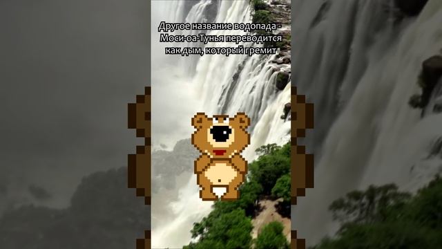 Мишка и Виктория