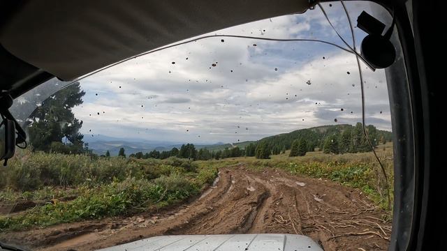 6 км. на автомобиле Уаз