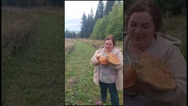 lv_0_20230912210038.mp4