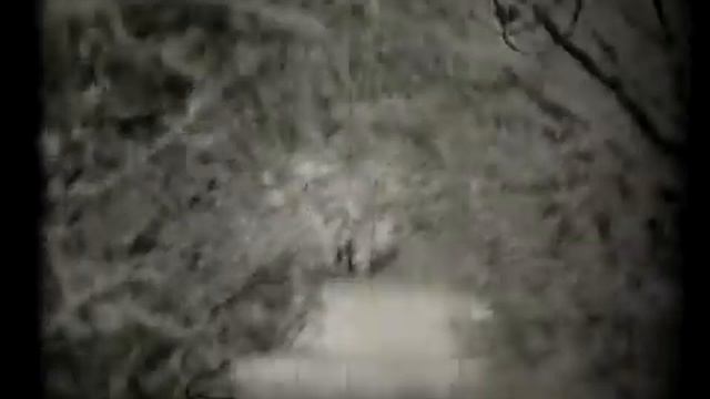 1977 на лыжах я и Валера Здобнов