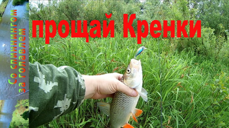 Последний голавль STRIKE PRO CRANKY 40.Ловля голавля спиннингом..mp4