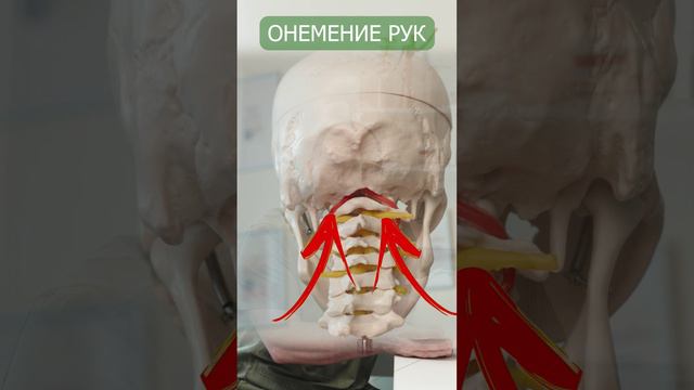 От этого немеют руки ночью. Простые способы справиться с онемением рук ночью!