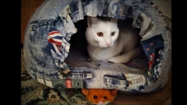 Марте Мартовне 7 лет!