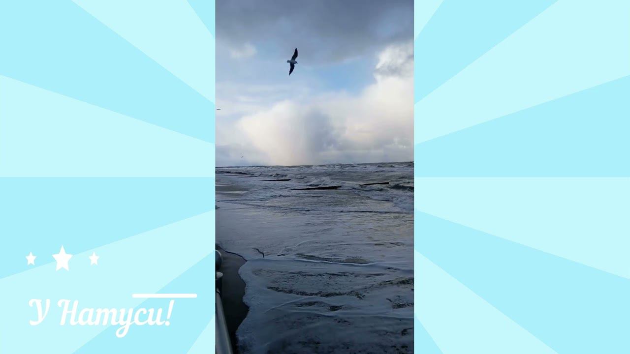 ПРОГУЛКА 13 ДЕКАБРЯ 2022 ГОДА. ЗЕЛЕНОГРАДСК. МОРЕ. ЗИМА