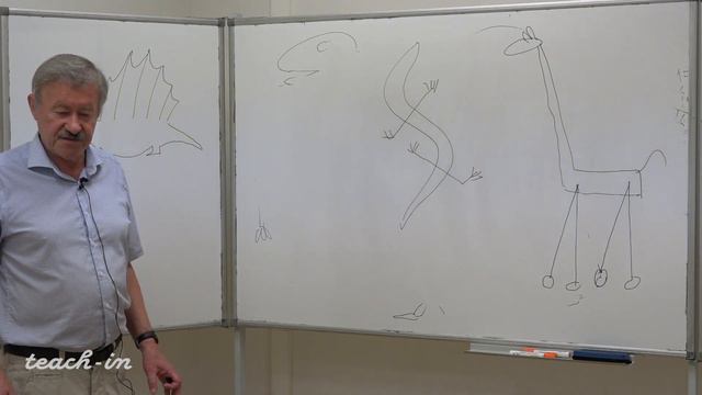 15. Класс Млекопитающие. Часть 2. Зоология позвоночных - Корзун Л. П. Teach-in.