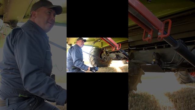 Скоро на нашем канале! Настройки комбайна в поле. Серия 4. Подсчет потерь. #shorts