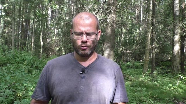 Шекспир, сонет 146