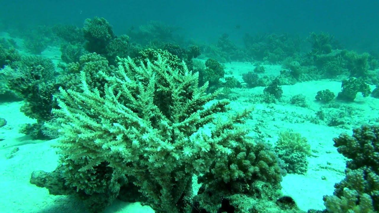 Gotta Abu Galawa, Hurghada, Egypt