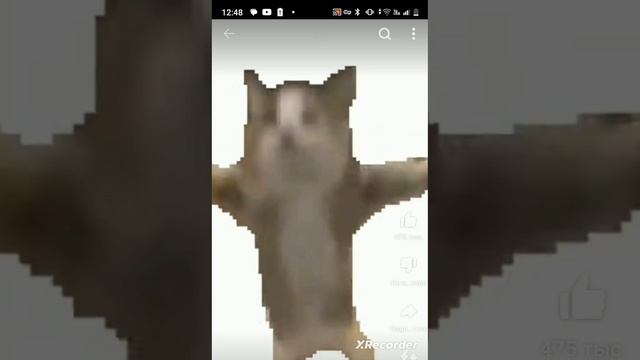 шнапи-шнапи