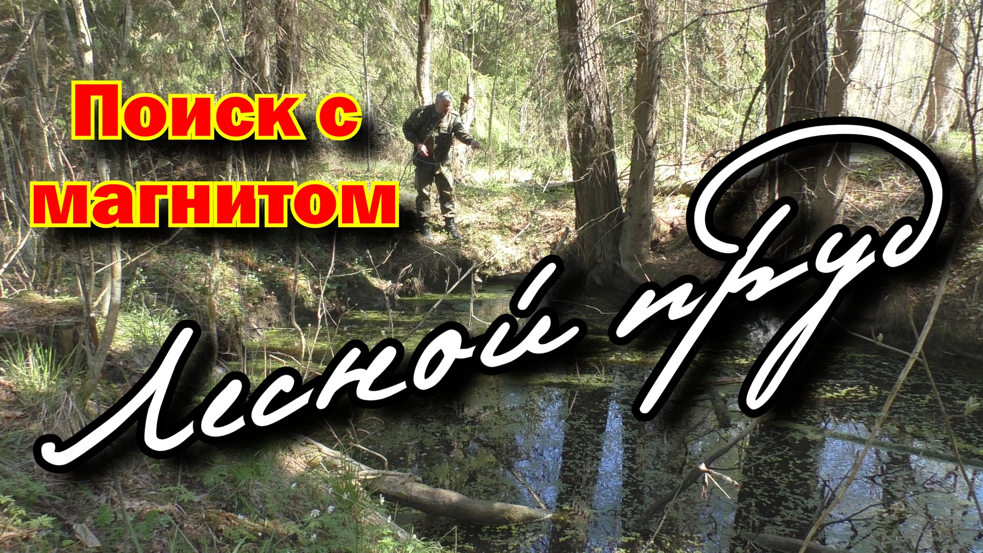 Поисковый магнит. Обследую лесной пруд