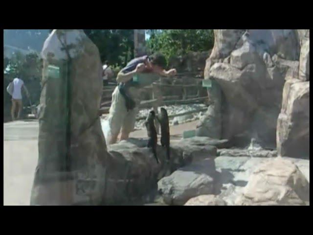 НАШИ ДРУЗЬЯ