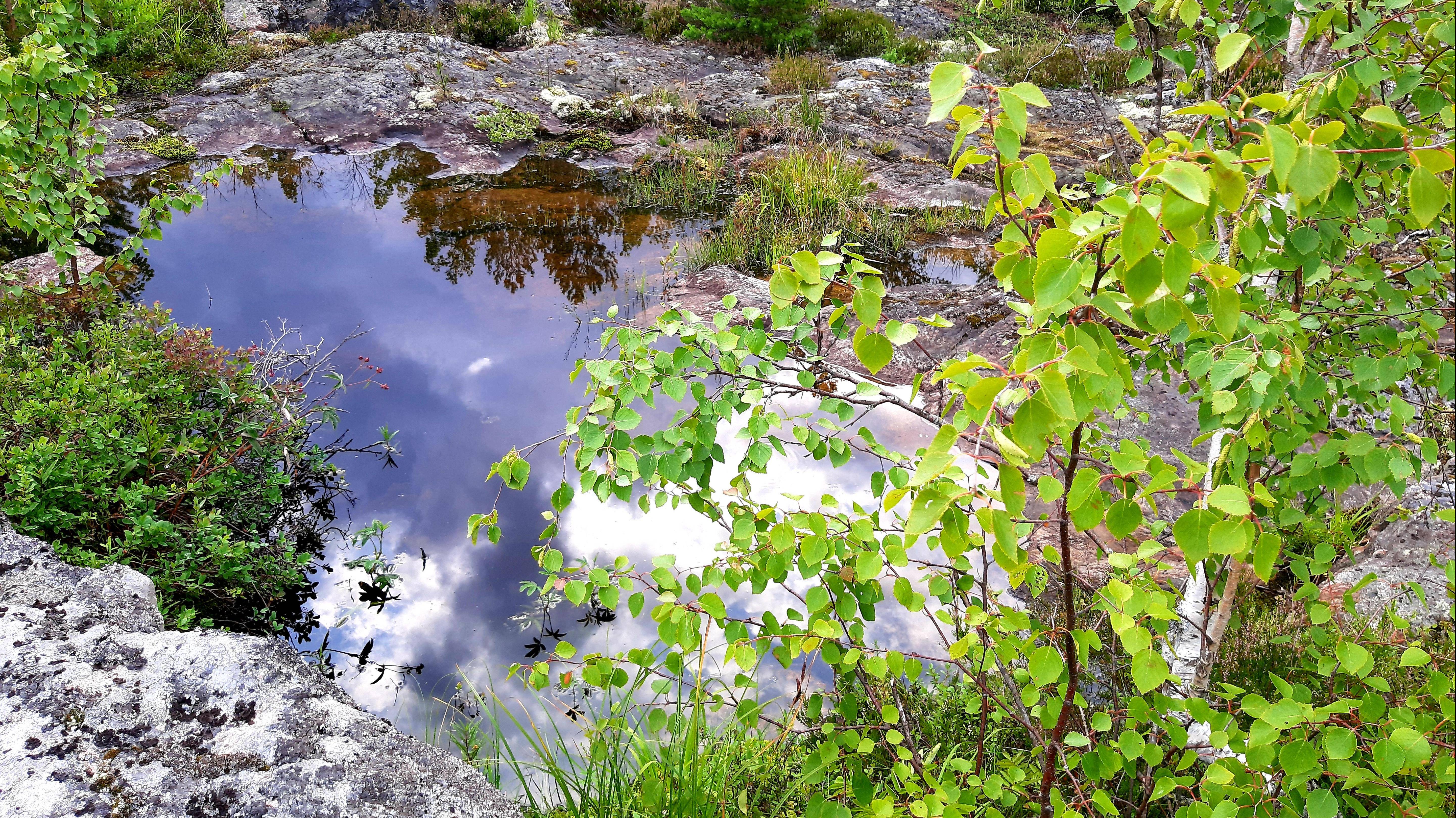 Ладога - Наше всё