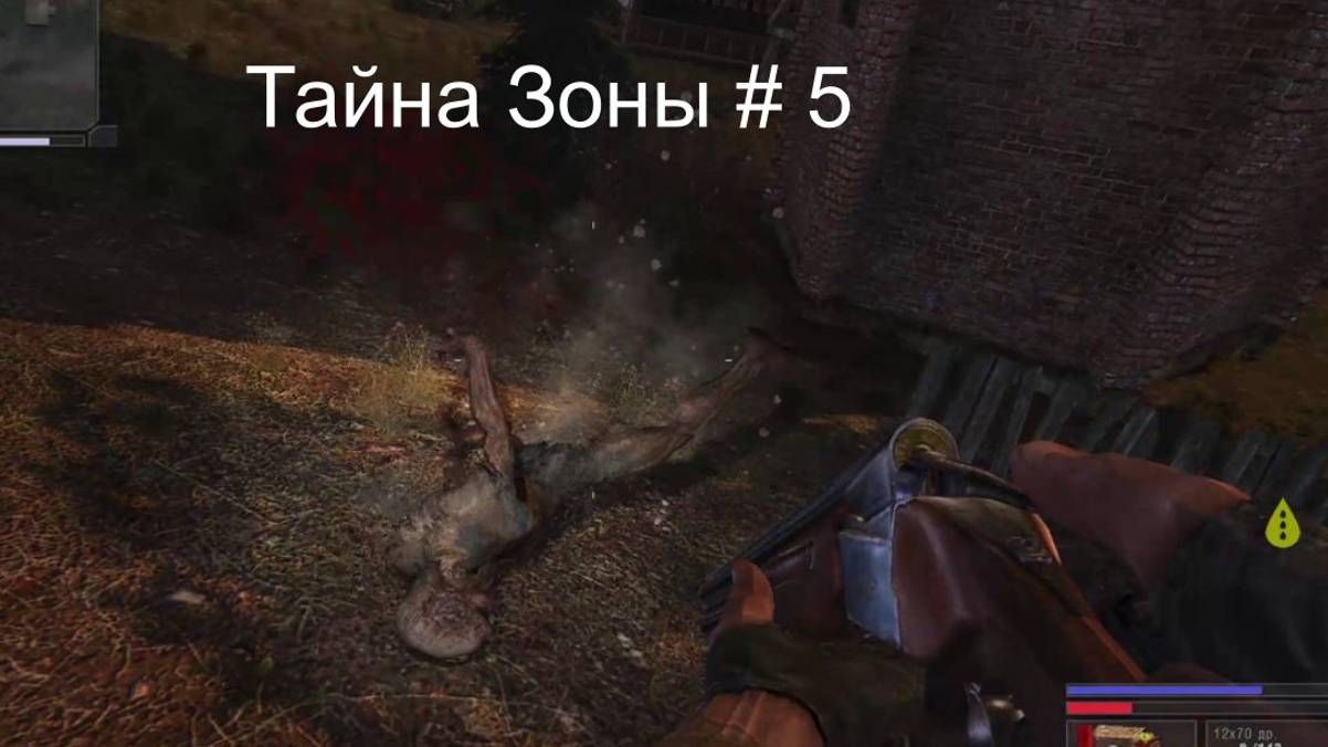 S.T.A.L.K.E.R. Тайна Зоны. Встреча со Стрелком. Янтарь.