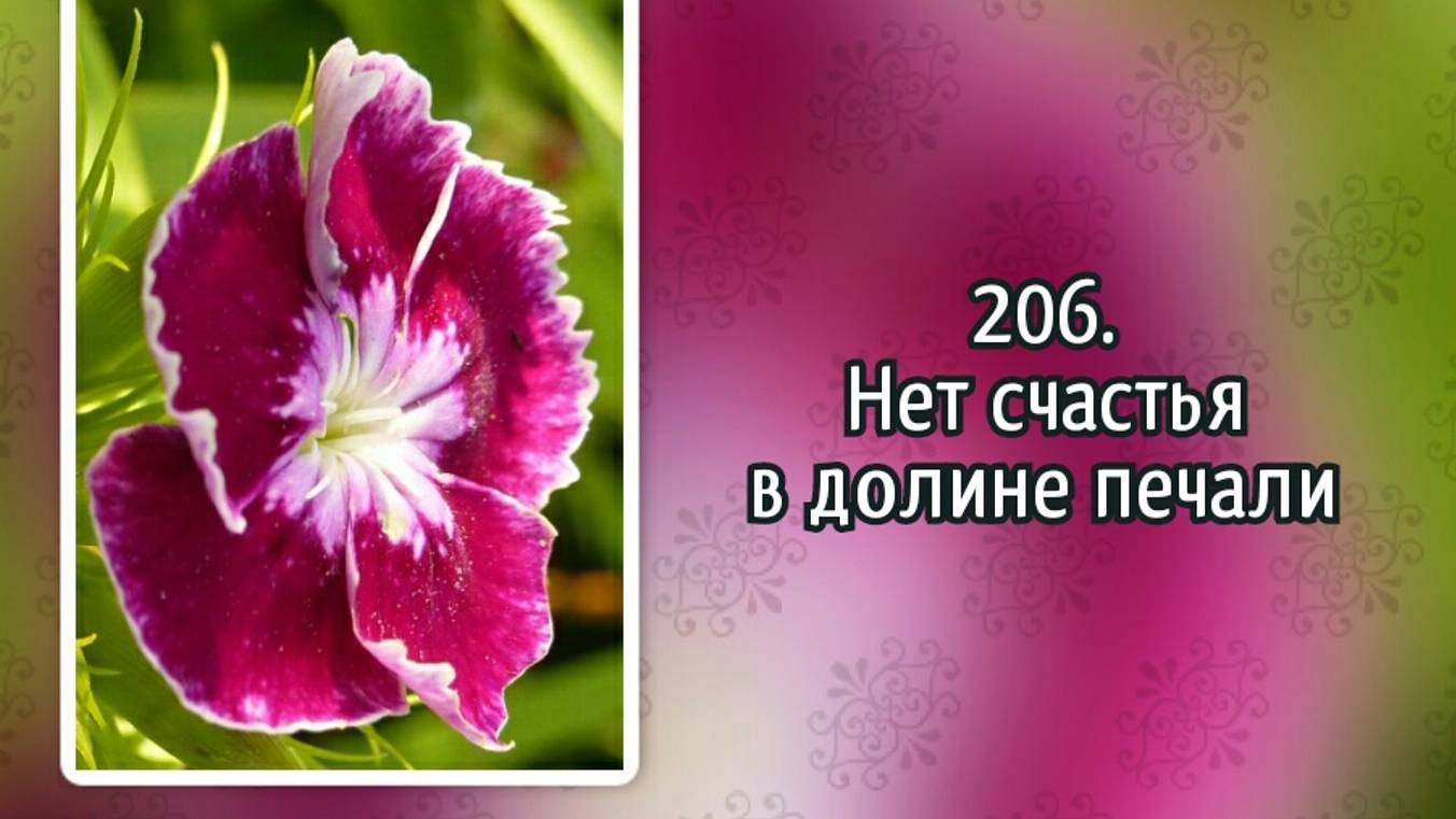 Гимны надежды 206 Нет счастья в долине печали (-)