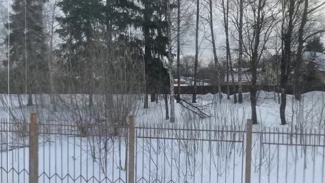 Егор Летов (Cover) Долгая счастливая жизнь.