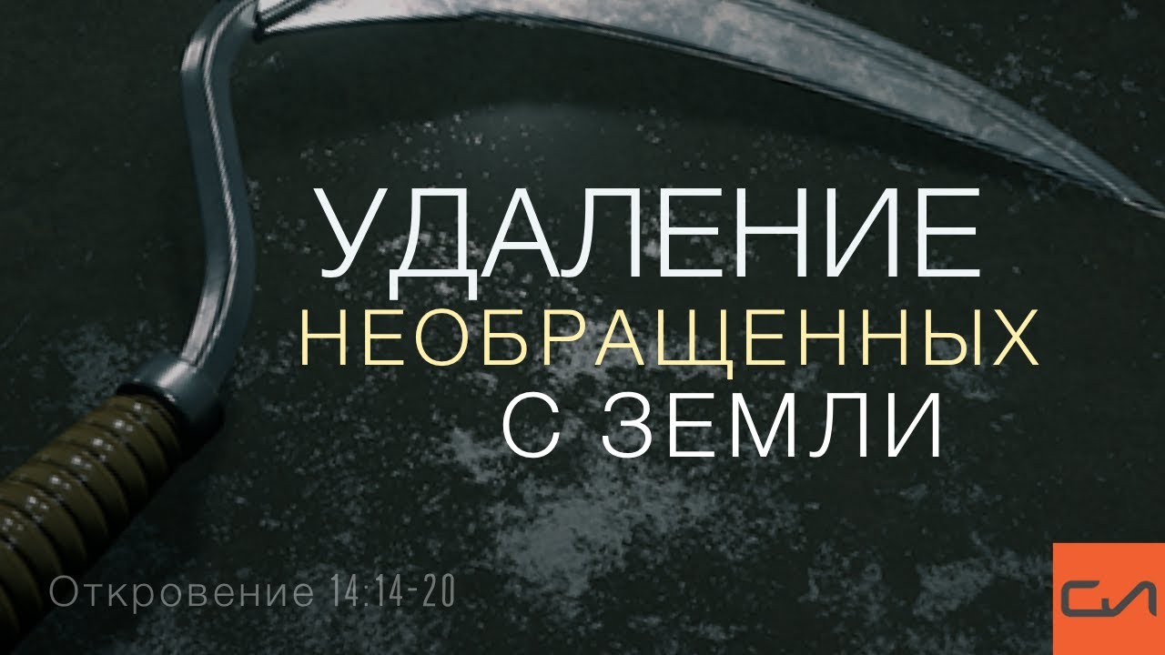 Откровение 14:14-20. Удаление необращенных с земли | Андрей Вовк | Слово Истины