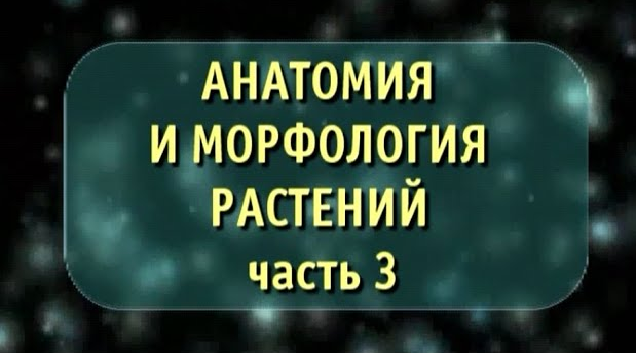 Анатомия и морфология растений. Часть 3. Стебель. Лист. Биология