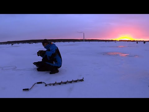 Ловим судака с батей на ВИБы и блесны с помощью эхолота ПРАКТИК 6М