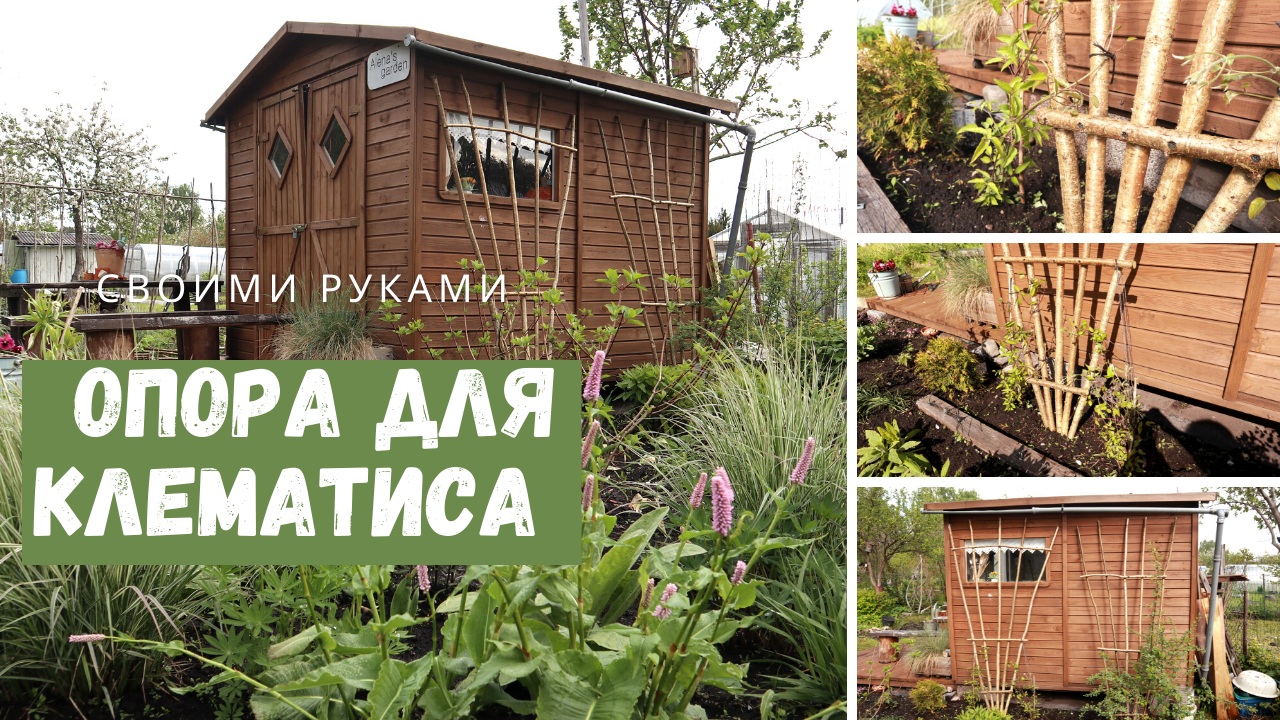 Сделать их может каждый! Дешевые и красивые опоры для клематиса