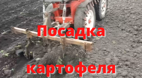 Посадка картофеля гусеничным минитрактором.