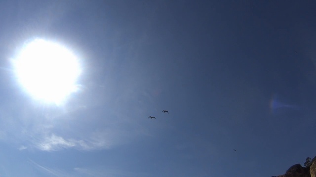 Portugese Flair 2018