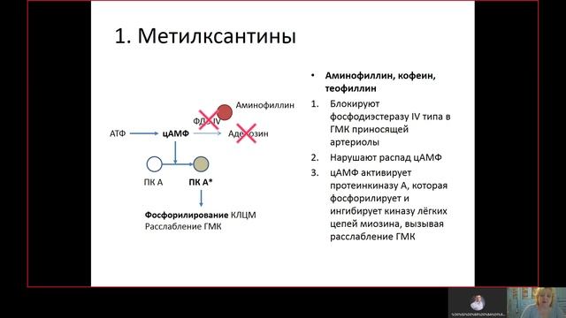 Фарма ВСЕ 12.3. Диуретики.mp4