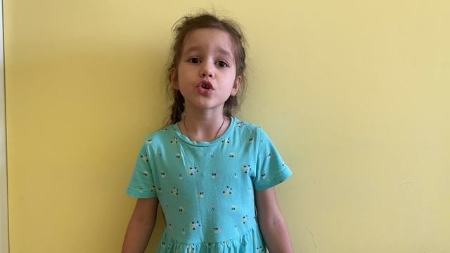 Стихотворение С. Михалкова "Мимоза"