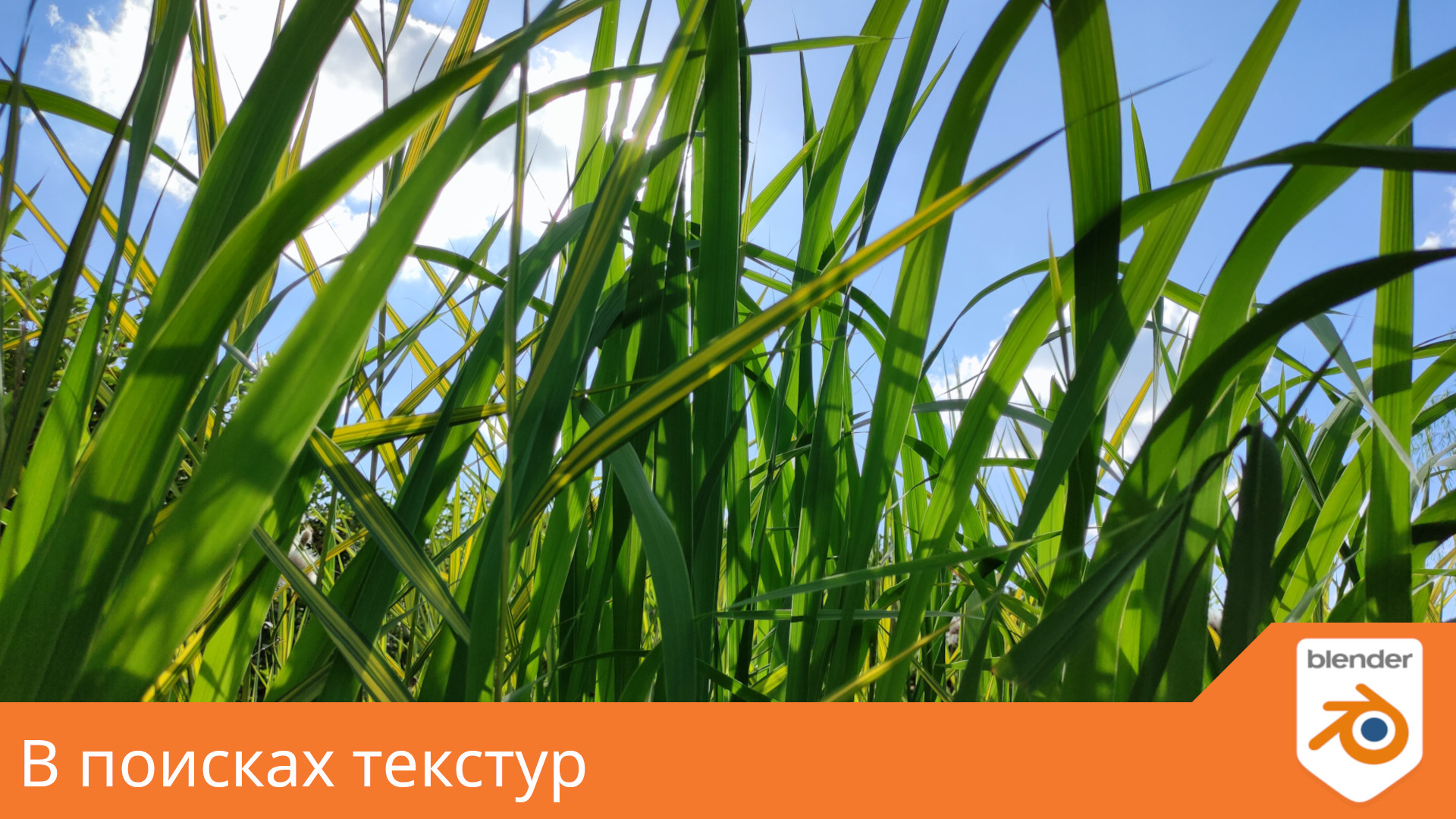 В поисках текстур