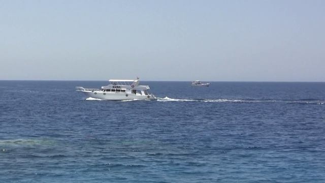 2-я поездка Шарм Эль Шейкх. Египет