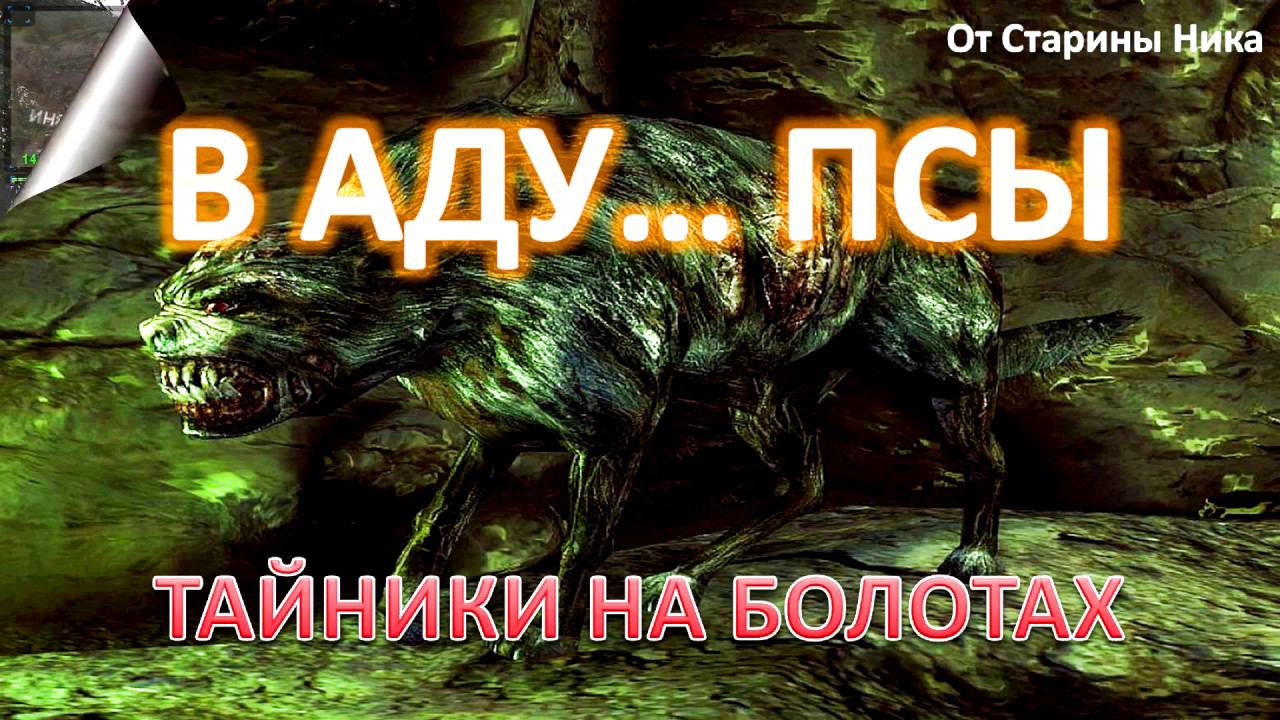 S.T.A.L.K.E.R. В Аду... Псы - Тайники на Болотах