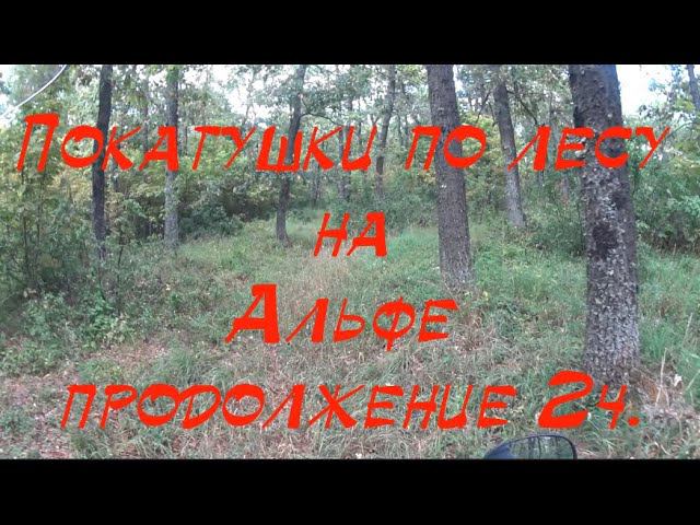 Покатушки по лесу на мопеде Альфа 2ч. продолжение.